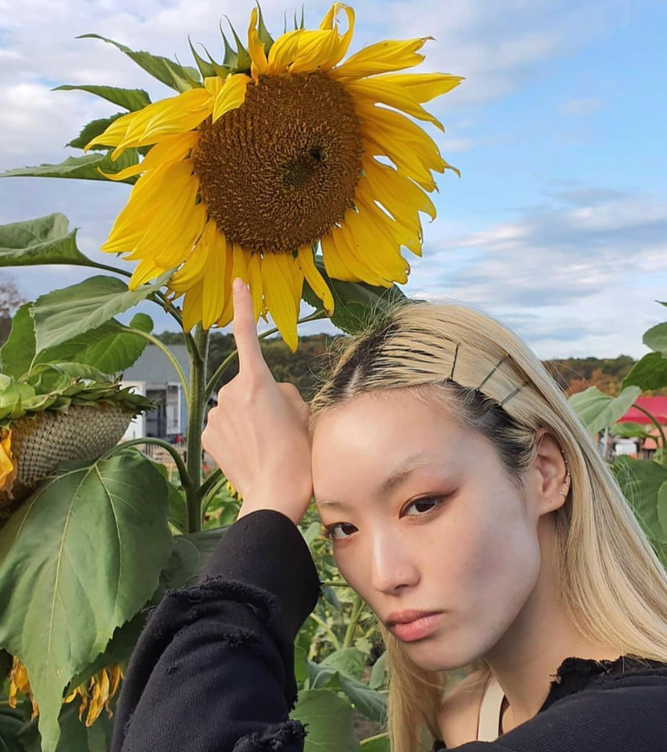 Ingredient Spotlight: Sunflower Extract (Helianthus Annuus) – DR ...